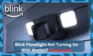 Why Is Blink Floodlight Not Turning On With Motion Reasons DIY Smart Home Hub