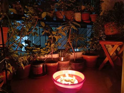 Dr Pallab Kanti Nath Piku On Linkedin Slowly Setting Into The New Place Of Posting🙏 Wishing