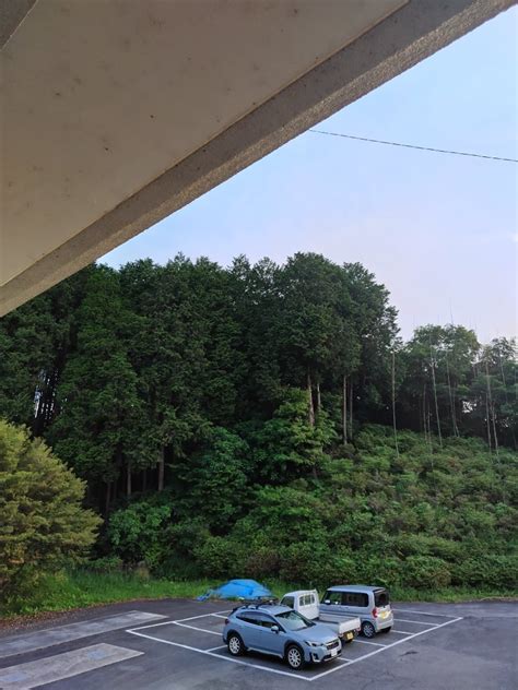 嘉麻市熊ヶ畑の木育プロジェクト 1052 イーハトーブ建築工房店主のブログ雲丹と蜜柑