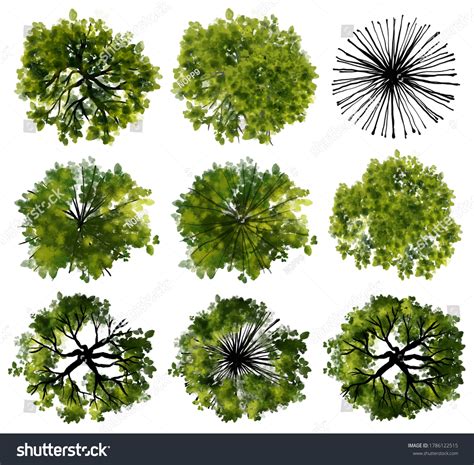Set Watercolor Tree Top View Landscape 库存插图 1786122515 Shutterstock