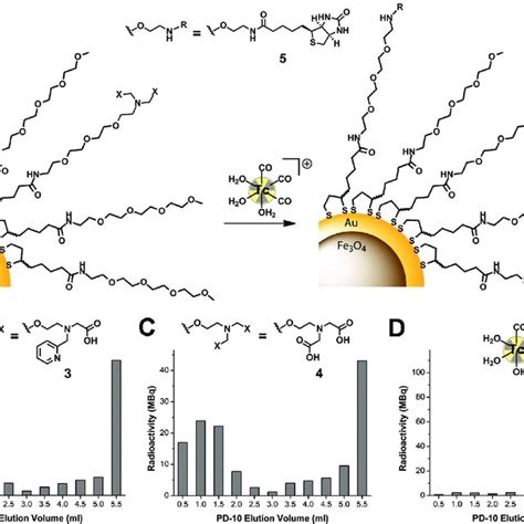 Radiolabelling Of Fe 3 O 4 Au Core Shell Nps With An Illustrative Download Scientific Diagram