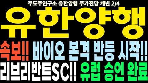 유한양행 주가전망 속보 바이오 본격 반등 시작 리브리반트sc 유럽 승인 완료 Feat주도주연구소ds 케빈