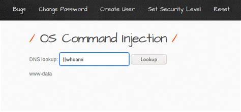 Os Command Injection Types Exploit And Mitigation Secnhack