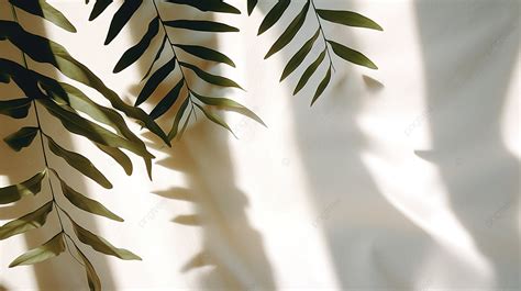 수수께끼 같은 실루엣 이국적인 식물이 질감 있는 흰색 종이에 그림자를 드리웁니다 나무 그림자 식물 그림자 잎 그림자 배경 일러스트 및 사진 무료 다운로드 Pngtree