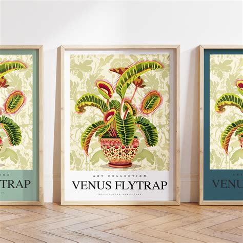 Any Colour Venus Flytrap Plant Print Venus Flytrap Plant Poster Venus