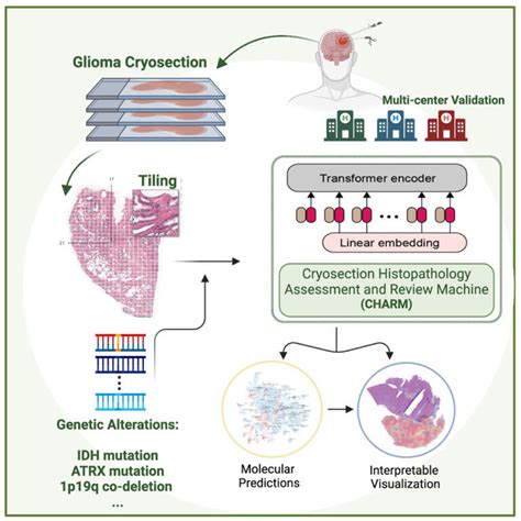 Real Time Cancer Tumor Profiling During Surgery NextBigFuture