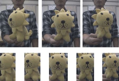 Examples Of Object Segmentation Download Scientific Diagram