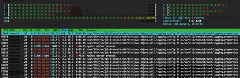Linux How To Understand Top And Htop Results For Tomcat With Java Threads Stack Overflow