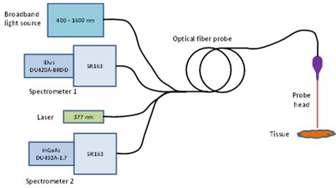 Diffuse Reflectance Spectroscopy And Fluorescence Spectroscopy Oxford