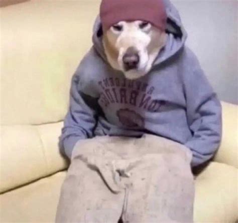 Hey Guys Jujutsu Kaisen Grasshopper Curse Here To Clear Up Some Misconceptions Because Im