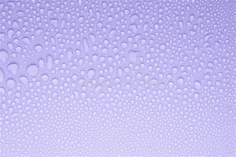 Water Droplets On Soft Light Purple Or Very Peri Background As Fresh
