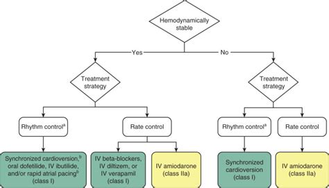Typical Atrial Flutter Thoracic Key