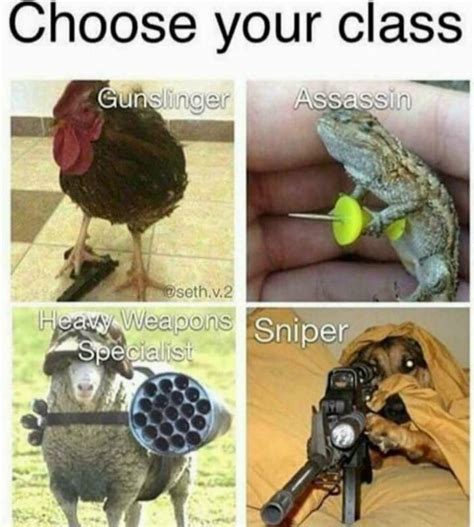 Choose Your Weapon Rfunny