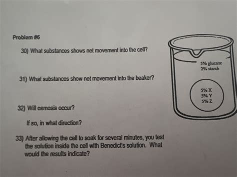 Solved What Substances Shows Net Movement Into The Cell Chegg
