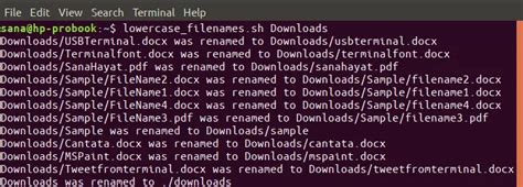 Convert Filenames To Lowercase Through Ubuntu Command Line Vitux
