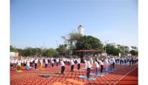 International Yoga Day 2024 In Puducherry Padma Jaiswal Ias Bollywood Wave