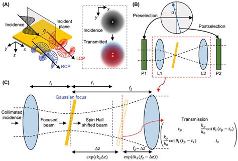 Schematics Of The Shel And Weak Measurement Setup A An Illustration