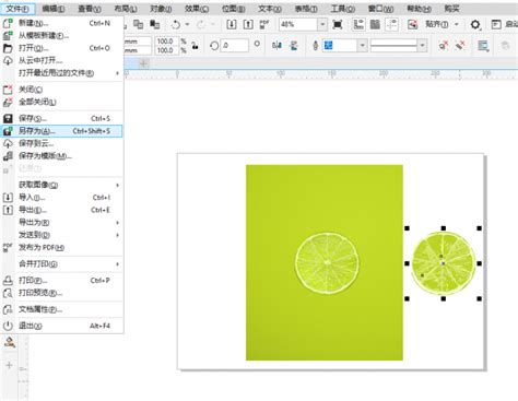 coreldraw位图转为矢量图用的方法是什么 cdr如何导出矢量图 CorelDRAW中文网站