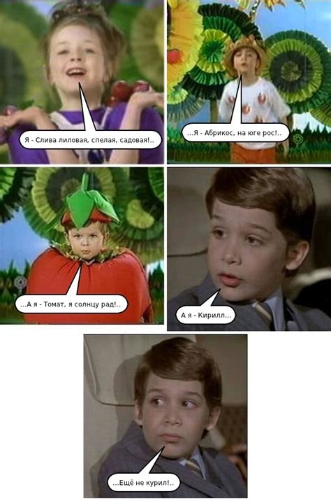 Я Абрикос на юге рос Я Слива лиловая спелая садовая Гнр У фруктовый сад фрукты