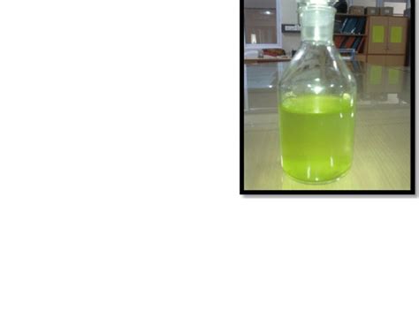 2 Pure Microalgae Culture Chlorella Sp Download Scientific Diagram