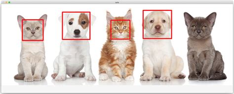 读取图像（将彩色图变成灰度图）【计算机视觉】python Opencv 4高级编程与实战 Csdn在线视频培训