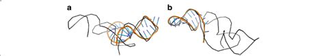 Longest Segments Colored Found In Sequence Dependent Mode Mcq Download Scientific Diagram