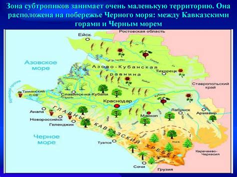 Субтропики России презентация онлайн