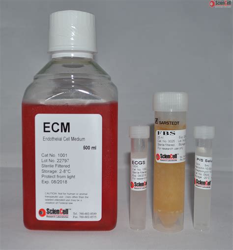 Human Endothelial Cell Medium Complete Ecm 2 X 500 Ml