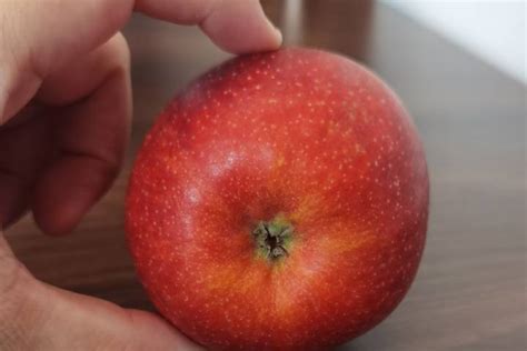 如何为孩子建立规则感 家长 意识 生活