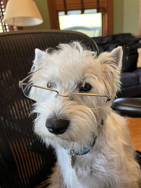 Your Yearly Performance Review Was Less Than Stellar” Rwesties