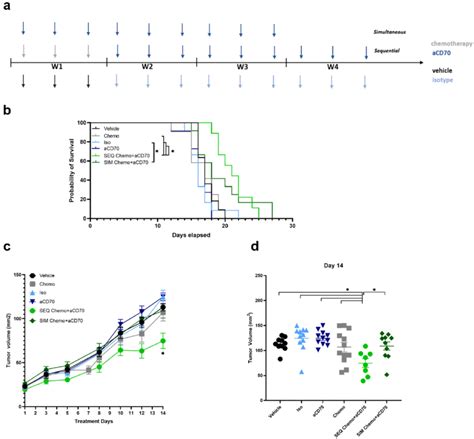 Survival Data And Tumor Kinetics After Treatment With Monotherapy Or Download Scientific