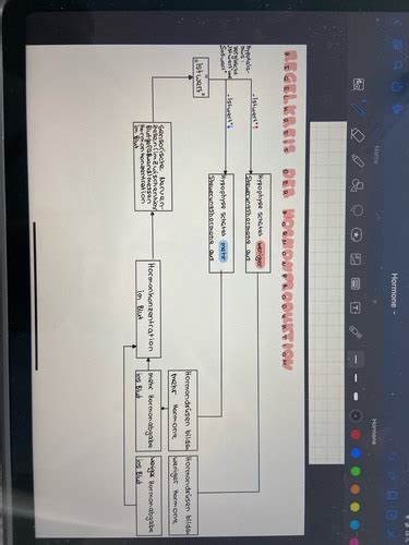 Bio Karteikarten Quizlet