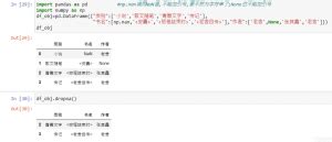 pandas处理重复NaN数据及读取excel空值 Oops 博客园