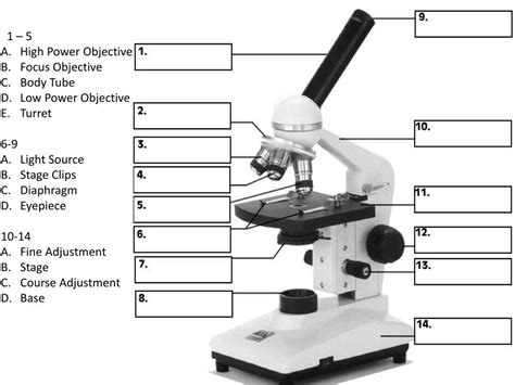 Microscope High Power Objective Lens Function At Nicole Hall Blog