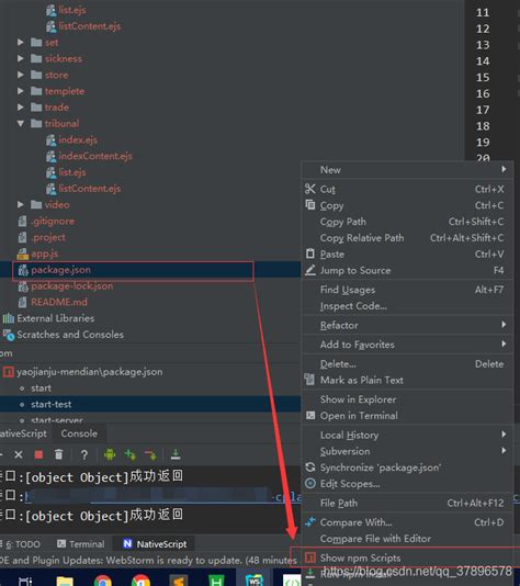 Webstorm中用npm运行任务（显示npm面板）show Npm Scripts Csdn博客