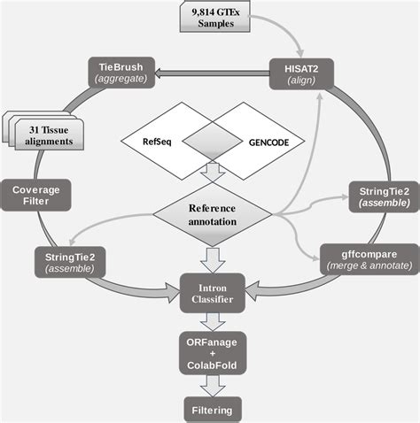 Computational Pipeline Used To Create Chess 3 First 9814 Gtex Samples Download Scientific