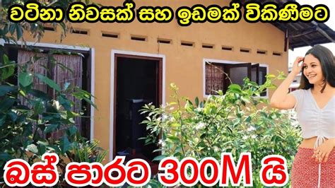 ප්‍රධාන පාරට 300mක් දුරින් වටිනා නිවසක් සහ ඉඩමක් විකිණීමට Aclandtv Youtube