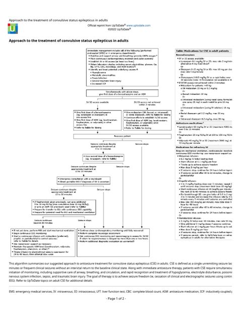 Approach To The Treatment Of Convulsive Status Epilepticus In Adults Download Free Pdf