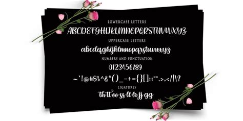 Hello Hana Script Font Webfont Desktop MyFonts