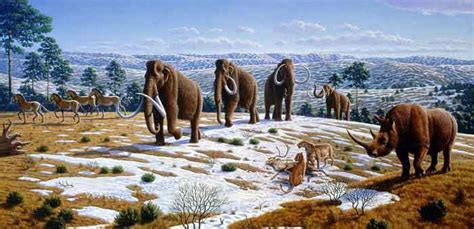 Ice Age Period