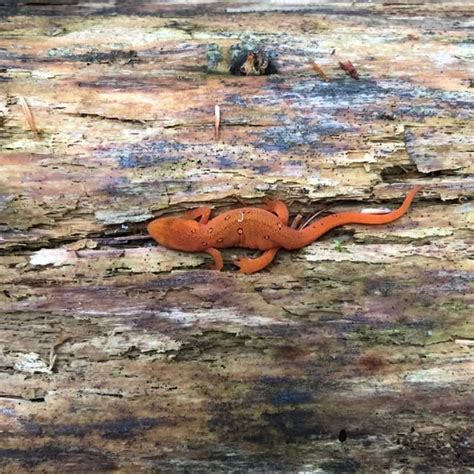 Rosy Metcalfe Rosy Is Eft Threads Say More Rosy Metcalfe Rosy Is Eft Threads Say More