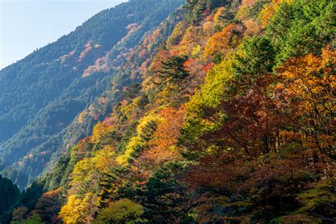 紅葉2022 奈良南部編 PONYの写真缶
