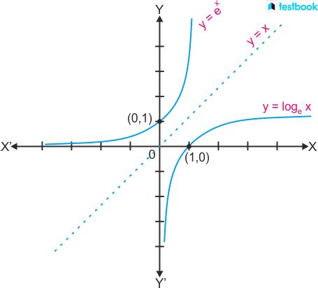 Exponential Functions Formula Types Graph Rules Properties