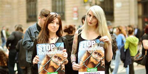 Vivisection Survey Faunalytics