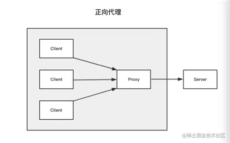 连前端都看得懂的Nginx 入门指南文本内容较多原理 实践讲解较为详细大约 分钟才能阅读完 虽然题目看起 掘金