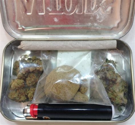 Altoids Tin Special Gear Higher Tree Temecula