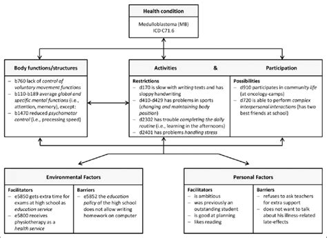 Schematic Model Of The International Classification Of Download