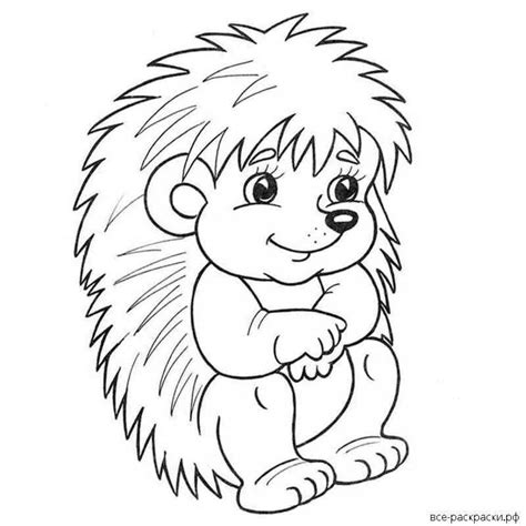 Разукрашки Еж 70 фото