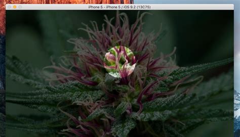 Ios Consistenlty Centering Calayer Sublayer Over A Uiimageview Stack Overflow