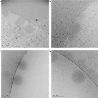 Cryo Transmission Electron Microscopy Images Of A B Hexosomes And Download Scientific